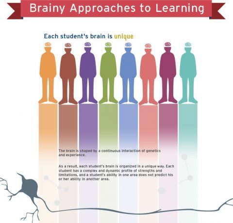 Brainy Approaches to Learning Infographic - e-Learning Infographics