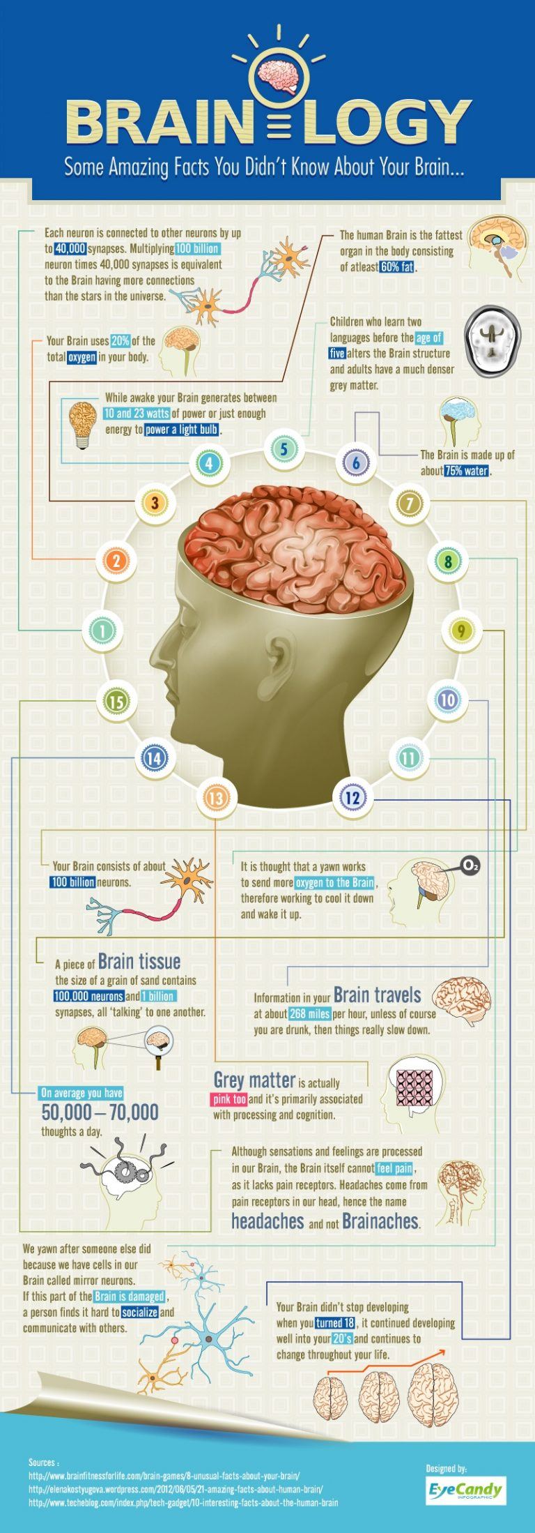 Intriguing Facts About The Human Brain Infographic - e-Learning ... Intriguing Facts About The Human Brain Infographic - e-Learning ...