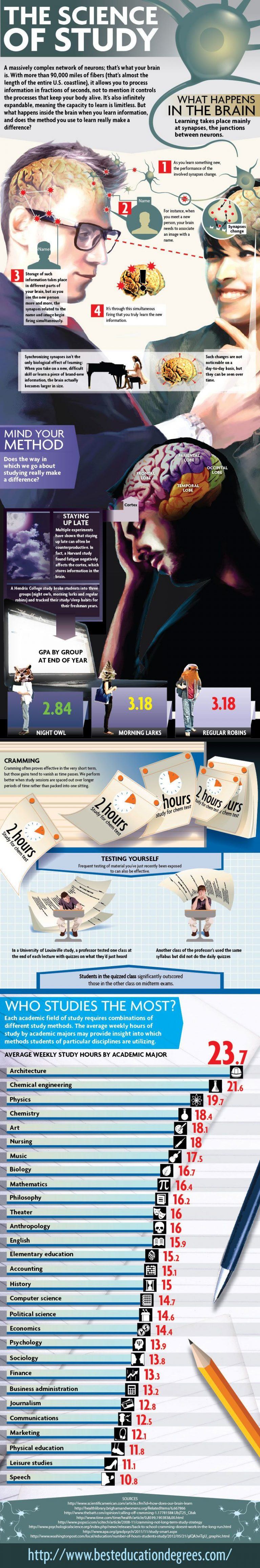 What Happens to Our Brain When Learning Occurs Infographic - e-Learning ...