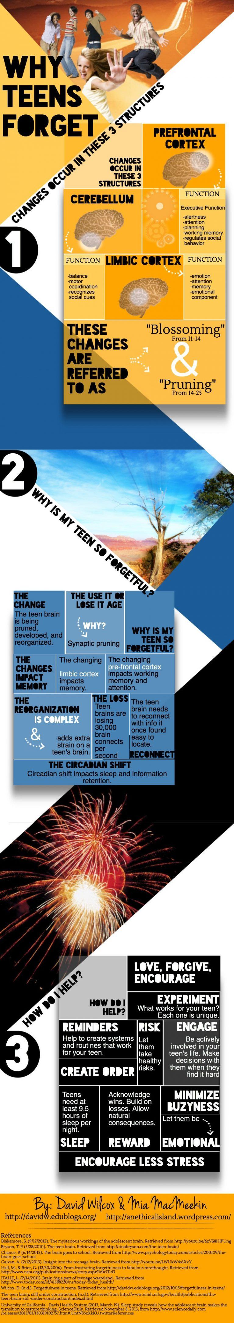 Why Teens Forget Infographic - e-Learning Infographics